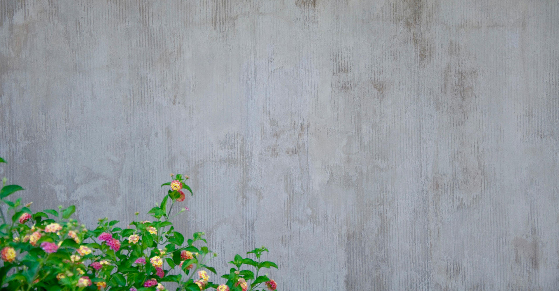 Eco-Friendly Wall Finishes & Textured Wall Coverings | Stonelace Designs